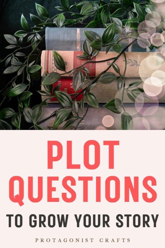Plot questions that help you grow your story idea - Protagonist Crafts ...